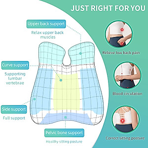 seeknow Lumbar Support Pillow for Office Chair Cushion for Back Pain Relief Office Chair Cushion Car Seat Cushion for Tailbone Pain Relief, Coccyx, Lower Back& Sciatica Pain Relief Butt Pillow Memory