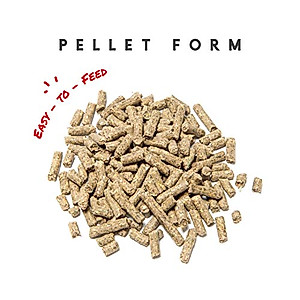 Manna Pro Sho-Glo Supplement for Horses | Complete Vitamin & Mineral Supplement for Healthy Skin & Coat | 5 Pounds