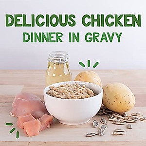 Earthborn Holistic Chicken Catcciatori Grain-Free Moist Cat Food 3 Ounce (Pack of 24)