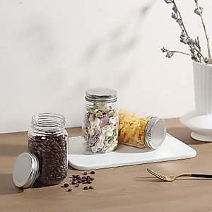 Party Club of America 10 Pack 16OZ Sliver Plastic Jars With Screw On Lids，Plastic Mason Jars Food Storage Container For Storing Dry Food, Candy, Cream,Peanut, Butter