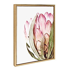 Kate and Laurel Sylvie Pink Protea Flower Framed Canvas Wall Art by Amy Peterson, 18x24 Gold