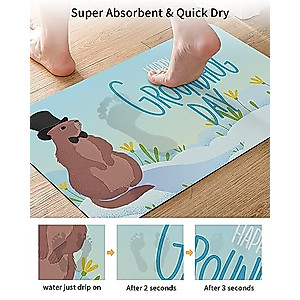 Groundhog Day Bath Mat for Tub,Non Slip Bathroom Floor Runner Rug Quick Dry & Absorbent Diatomaceous Earth Shower Sink Kitchen Living Room Washable Doormat,Spring Blue Forest Green Grass 16"x24"