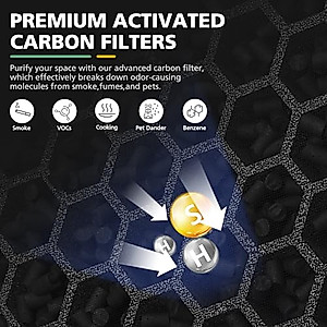 116130 Replacement Filter H Compatible with Winix 5500-2 Air Purifier and AM80-2 Air Purifier Replacement Filter 2 Pack H13 TRUE HEPA Replacements and 2 Pack Activated Carbon Filters Combo Pack (2+2)