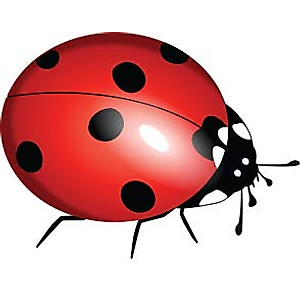 Urinal Fly Toilet Stickers, 12 Pack, Bee Fire Ladybug Target, 80% Cleaner Bathrooms in Minutes!