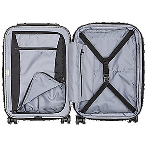 DELSEY Paris Titanium Hardside Expandable Luggage with Spinner Wheels, Silver, Carry-On 19 Inch