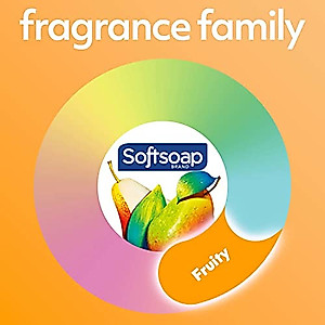 Softsoap Body Wash, Pomegranate & Mango Spritz Body Wash, 20 Fl Oz (Pack of 4)
