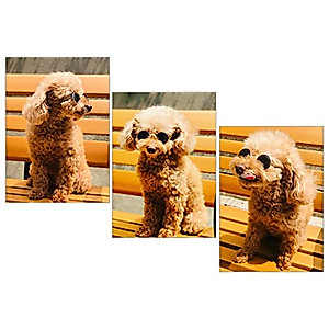 DS. DISTINCTIVE STYLE Retro Round Sunglasses with Golden Plastic Chain for Pet Cats and Small Dogs Cool and Funny Spectacles Pets Photo Props for Taking Pictures