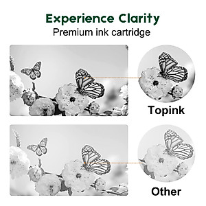 Top Ink Ink Cartridge Replacement for Canon 243XXL (Black)