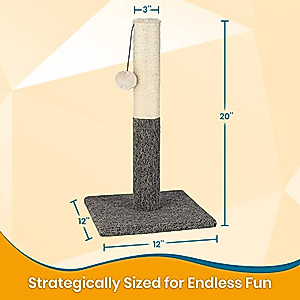 PAWBEE Cat Scratching Post - 20" Cat Scratcher Pole - Sturdy Cat Scratching Posts for Indoor Cats - Natural Sisal Rope Cat Scratchers - Cat Scratch Post with Hanging Ball Toy - Cat Post for Kittens