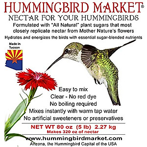 Hummingbird Market Hummingbird Nectar - Clear Powder w/ 3 Hydrating & Energizing Sugars, 5 Lb