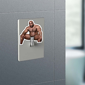 10pcs Funny Barry Wood Light Switch Sticker Decals, Waterproof Vinyl Prank Joking Wall Stickers for Living Room, Car, Laptop Skins, Skateboard, Computer, Tumblers, Phone, Bumper (10Pcs)