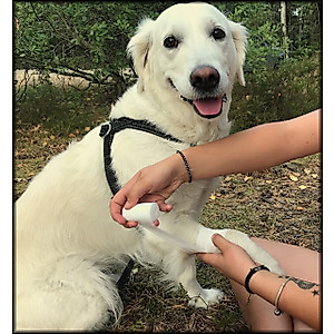 Dog First Aid Kit with Thermometer and Emergency Blanket - Puppy Kit - Pet Safety Supplies for Camping, Walks, Cycling, Car, Hikes - Treat cuts and scrapes