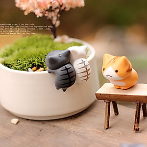 Mini Cute Cats Miniature Garden Micro Kitty Landscape Ornament Decorations Home Succulent Bonsai Plant Pots Craft Decor (Random Style)