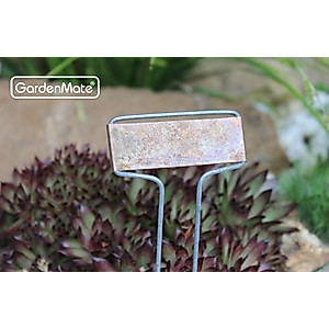 GardenMate 50-Pack Weatherproof Banner Copper Metal Plant Labels, Height 10.5", Label Area 2.5'' x 7/8''