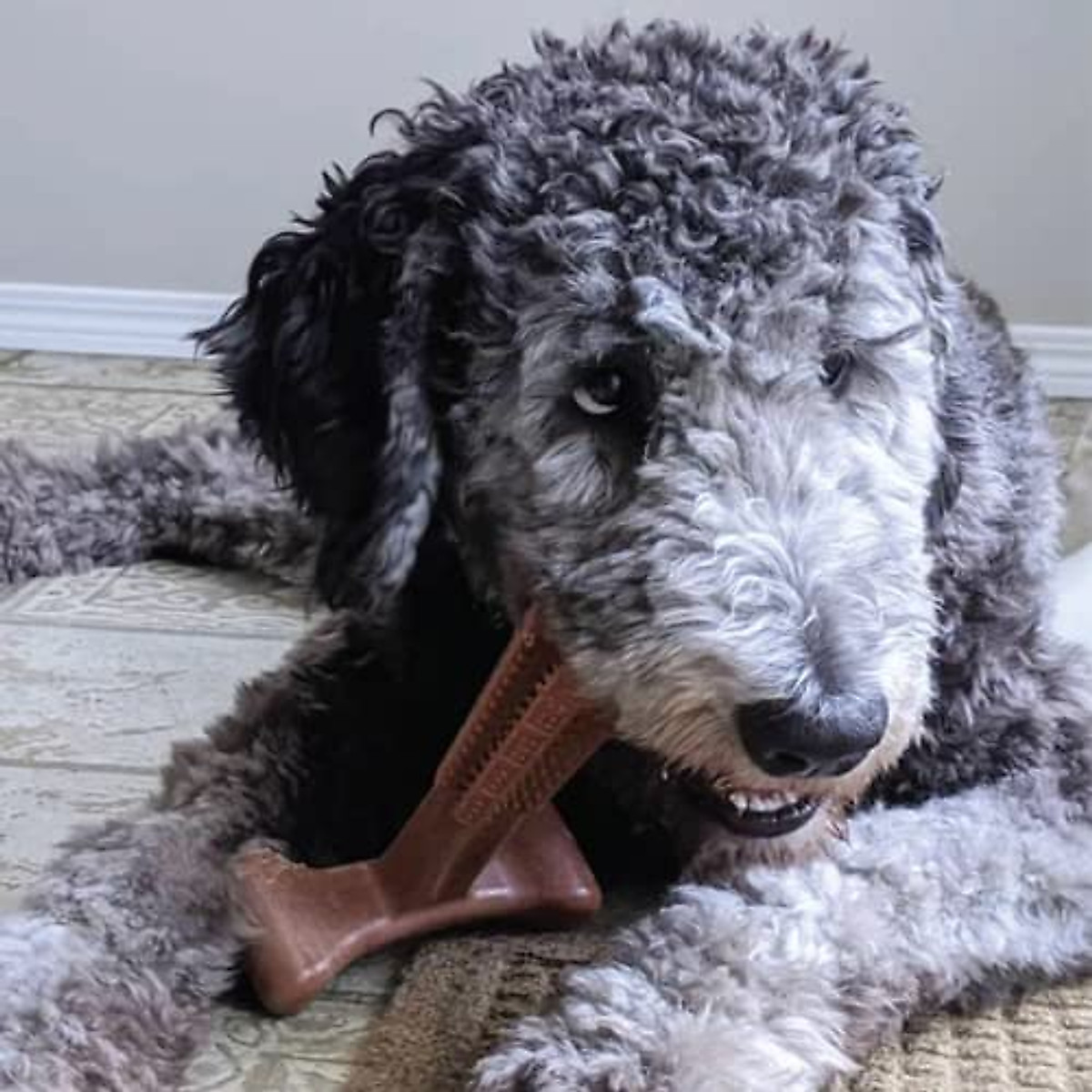 SPOT by Ethical Products 4 in Bambone Plus Easy Grip Peanut Butter, Beef & Chicken Dog Chew Bundle - Bamboo & Nylon Anti Anxiety Bone for Aggressive Chewers & Dental Health for Dogs - Medium (3 Pack)