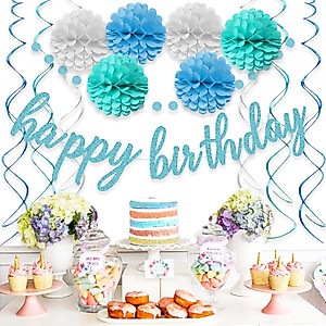Aonor Happy Birthday Decorations - Glittery Blue Happy Birthday Banner Sign, Pom Poms Flowers, Glittery Circle Dots Garland and Hanging Swirls for Bluey Birthday Party Decorations