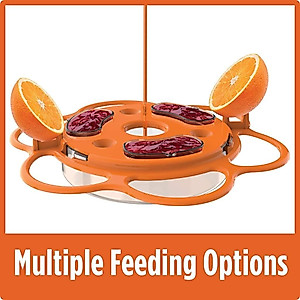 Nature's Way OFP1 All-in-One Oriole Buffet Bird Feeder, Orange