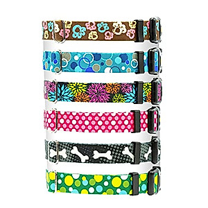 Extreme Dog Fence Replacement Containment and Training Collar Strap for Most Dog Fence Brands - Brown Paws (Small: 10" - 12" x 3/4")