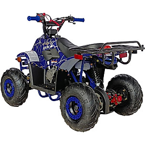 110cc ATV Four Wheelers Fully Automatic 4 Stroke Engine 6 Inch Tires Quads for Kids Spider Black