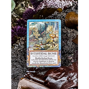 Montrose Biology Ecologies: Hidden Habitats - Use Science to Build Food Webs in 7 Biomes - Beautiful Vintage Nature Art for The Classroom or Game Night