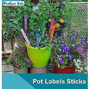 Perfect Stix 21 Inch Paint Paddle. Pack of 25 Paddles