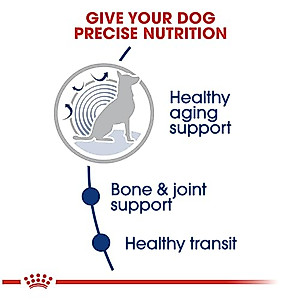 Royal Canin Large Aging 8+ Senior Dry Dog Food, 30 lb bag