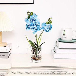 Jusdreen 1 Pcs Glass Vase Artificial Orchid Flower Bonsai Vivid Phalaenopsis Flowers Potting for Home Office Décor,Table Centerpiece Room Decorations 14.5 INCH (Glass Vase/Blue Orchid)