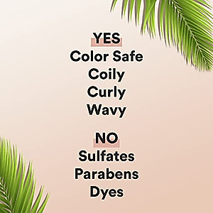 Professionals Natural Shea Butter Coconut Moisturizing Curl Conditioner 16.5 fl oz