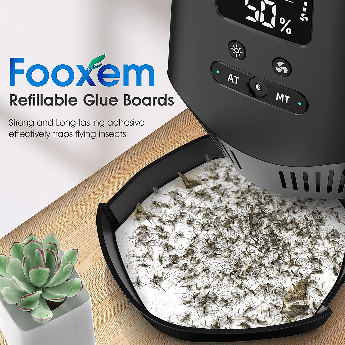 Fooxem Glue Board Refills for Fruit Fly Traps Indoor, Replacement Sticky Boards for Gnats Moths Mosquitos Pest Control, 10 Pack