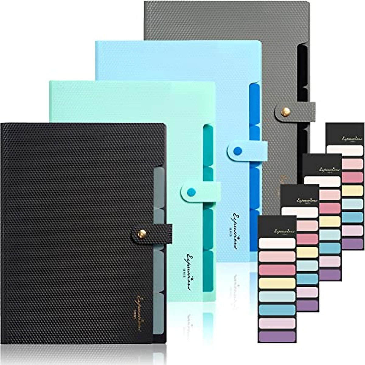 Sooez 4 Pack Expanding Filer Folders, 5 Pocket Accordion Folder, Accordion File Folder with Labels, Portable Folders for Documents, Premium Expandable Folder Organizer, Cute Folders for School Office