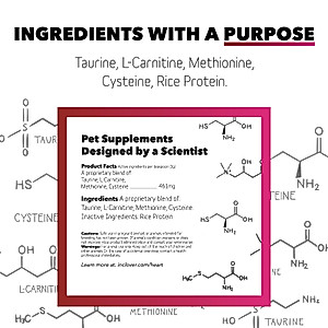 InClover, Dog Heart Health Supplement BioVibrant, Helps Support Dog Heart Health, Dog Supplement Treat Powder with Taurine Helps Pet Heart Health and Dog Weight Management, Dog Immune Support