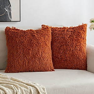 MIULEE Pack of 2 Luxury Faux Fur Throw Pillow Covers Deluxe Winter Decorative Plush Pillow Case Cushion Cover Shell for Sofa Bedroom Car 18x18 Inch Burnt Orange