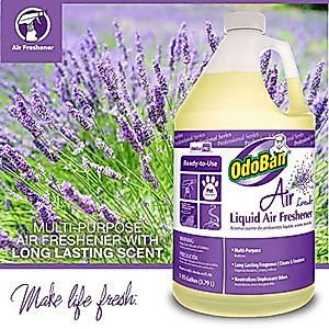 OdoBan Professional Series Ready-to-Use Air Liquid Air Freshener, Set of 3, 1 Gallon Each, Cherry, Spring Fresh and Lavender Variety