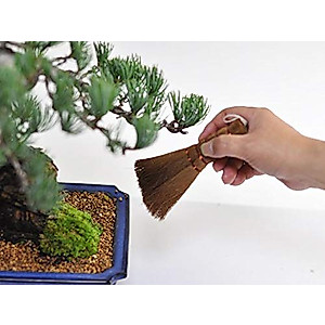 KAKURI Bonsai Broom Brush Medium 5.1" Professional Gentle Small Broom, Japanese Bonsai Tool
