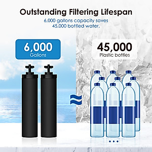 Waterdrop NSF/ANSI 42&372 Certified Water Filter, Replacement for Berkey® BB9-2® Black Filters, Berkey® Gravity Water Filter System and Waterdrop King Tank Series, (Pack of 2)