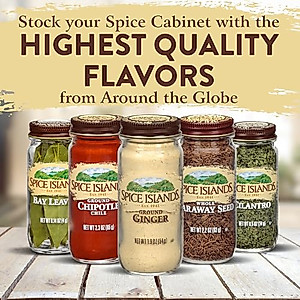 Spice Islands Onion Salt, 2.8 Ounce