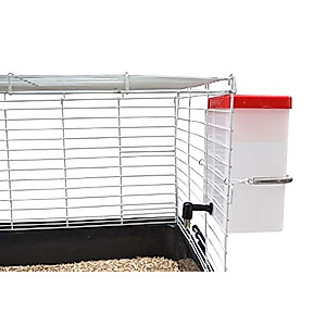 No Drip 2L Small Animal Water Bottle. BPA Free. Best Water Bottle for Small Pet/Bunny/Ferret/Hamster/Guinea Pig/Rabbit