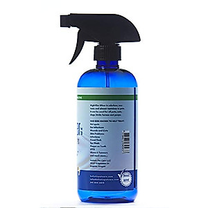 HighVibe Silver - Colloidal Silver for Pets -16 Oz- 20 PPM Wound/Skin/Hot Spot Spray for Dogs, Cats, Birds, Horses/All Pets & Peeps