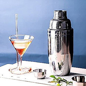 FRONTIER Cocktail Wine Shaker Stainless Steel Martini Shaker with Cap and Strainer Drink Mini Shaker 10OZ