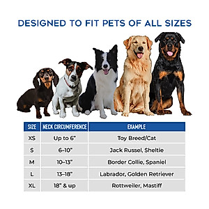 Dogswell Remedy + Recovery Dog First Aid, Inflatable Collar, Large