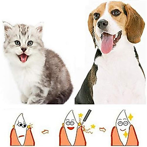 Tartar Remover/Scraper 6.5 inch Double Sided