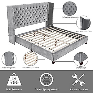 NHI Express Contemporary Velvet Upholstered Deep Button Tufting Solid Frame Platform Bed with Wood Slats King/Queen Size, Silver