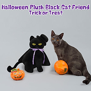 MUFEIRUO Black Cat Plush Halloween Plush, Black Cat Stuffed Animal with Hat Cloak, Halloween Vampires Decor Plushie Stuffed Cat Toys for Kids