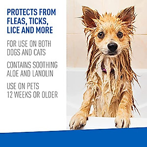 Adams Plus Pyrethrin Dip For Dogs and Cats | Kills and Repels Fleas, Ticks, Lice, Gnats, Mosquitoes and Flies | 4 Fl Oz