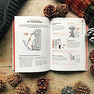What Cats Want: An illustrated guide for truly understanding your cat