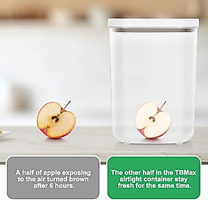 TBMax Large Flour Storage Container, 23 Lbs -25 Lbs Rice Container with Pop Up Lid & Measuring Scoop for Flour, Cereal, Dry Food Storage and Kitchen Pantry Organization