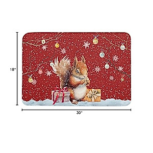 Christmas Bath Rugs Squirrel Xmas Ball Branch Sponge Doormat Absorbent Non Slip Backing Durable Soft Flannel Mat Snowflake Snow Red Christmas Memory Foam Mats Carpet for Bathroom Kitchen, 18 x 30 inch