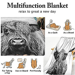 Flannel Highland Cow Blanket for Bed Couch Sofa,Scotland Scottish Horns Bull Cattle Throw Blanket,Soft Cozy Plush Warm Fuzzy White Grey Blanket for Adults Teens Kids 60"x50"