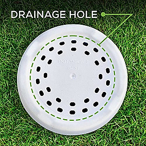 Sierra Concepts Flower Plant Pots for Planters 6 Inch - Set of 6 Plastic Planter Pot Modern Indoor Outdoor for Small Planting, Succulent Plants, Nursery, Orchid, House, Office Décor, Gardening, White