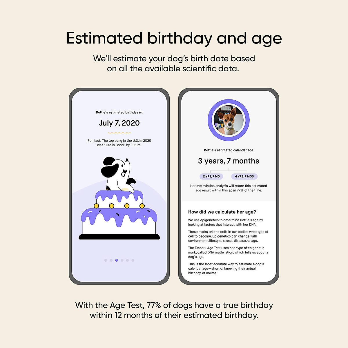 Embark Dog Age Test Kit - Estimates Age and Birthday - DNA Methylation - Best for Dogs Past Puppy Stage - Includes Life Stage Care Tips - Great for Rescue Dogs